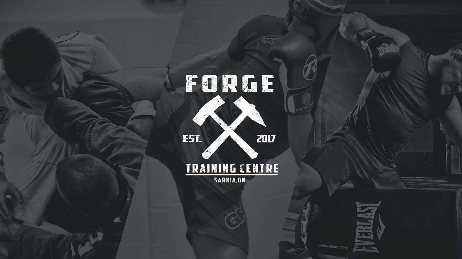 Forge Training Centre - Mixed Martial Arts - Sarnia Ontario